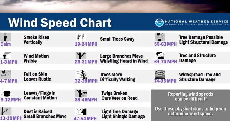 Know The 6 Most Common Signs Of Wind Damage On Roofs